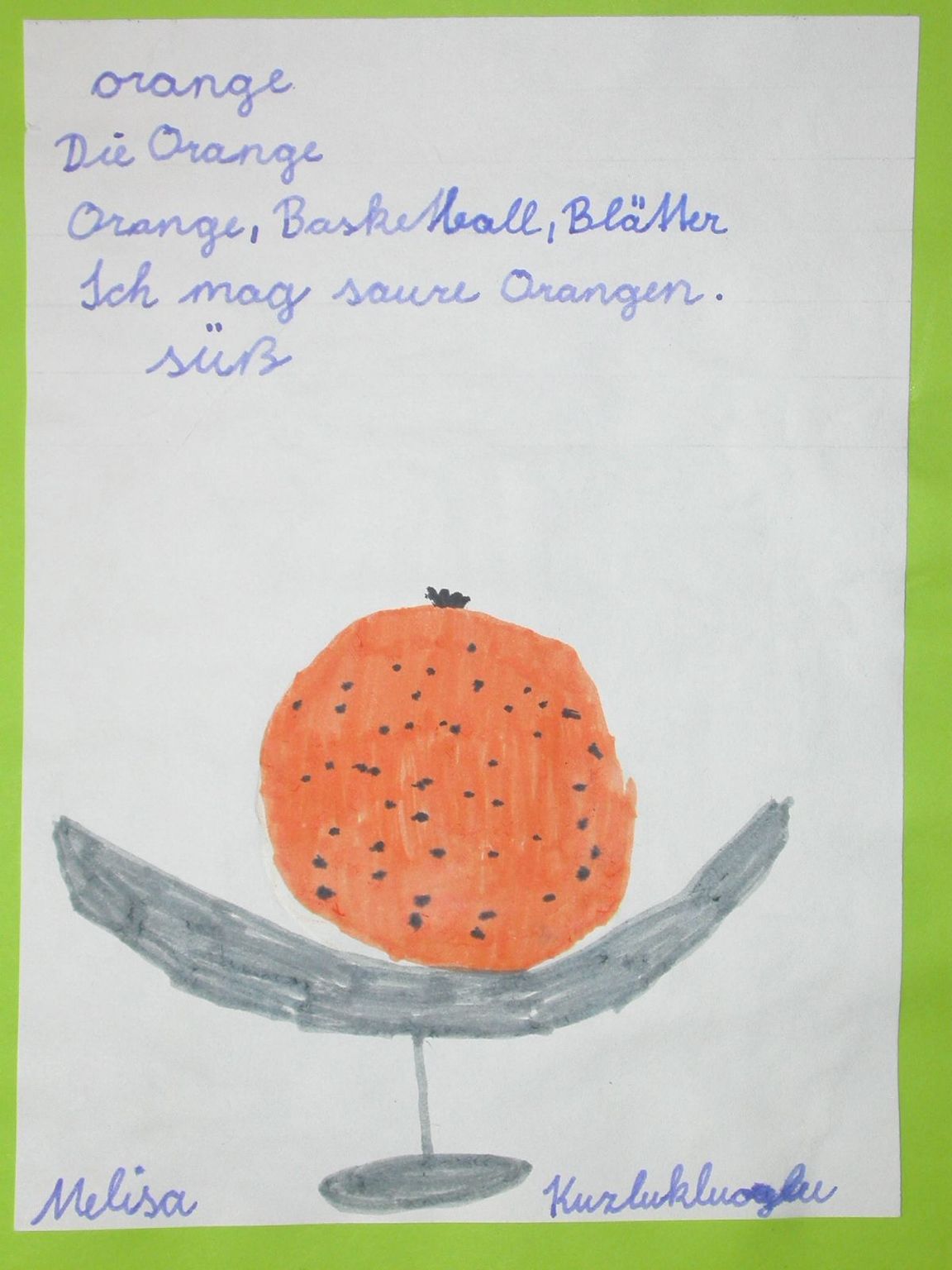 VS Hirschegg: Elfchen 01/2010